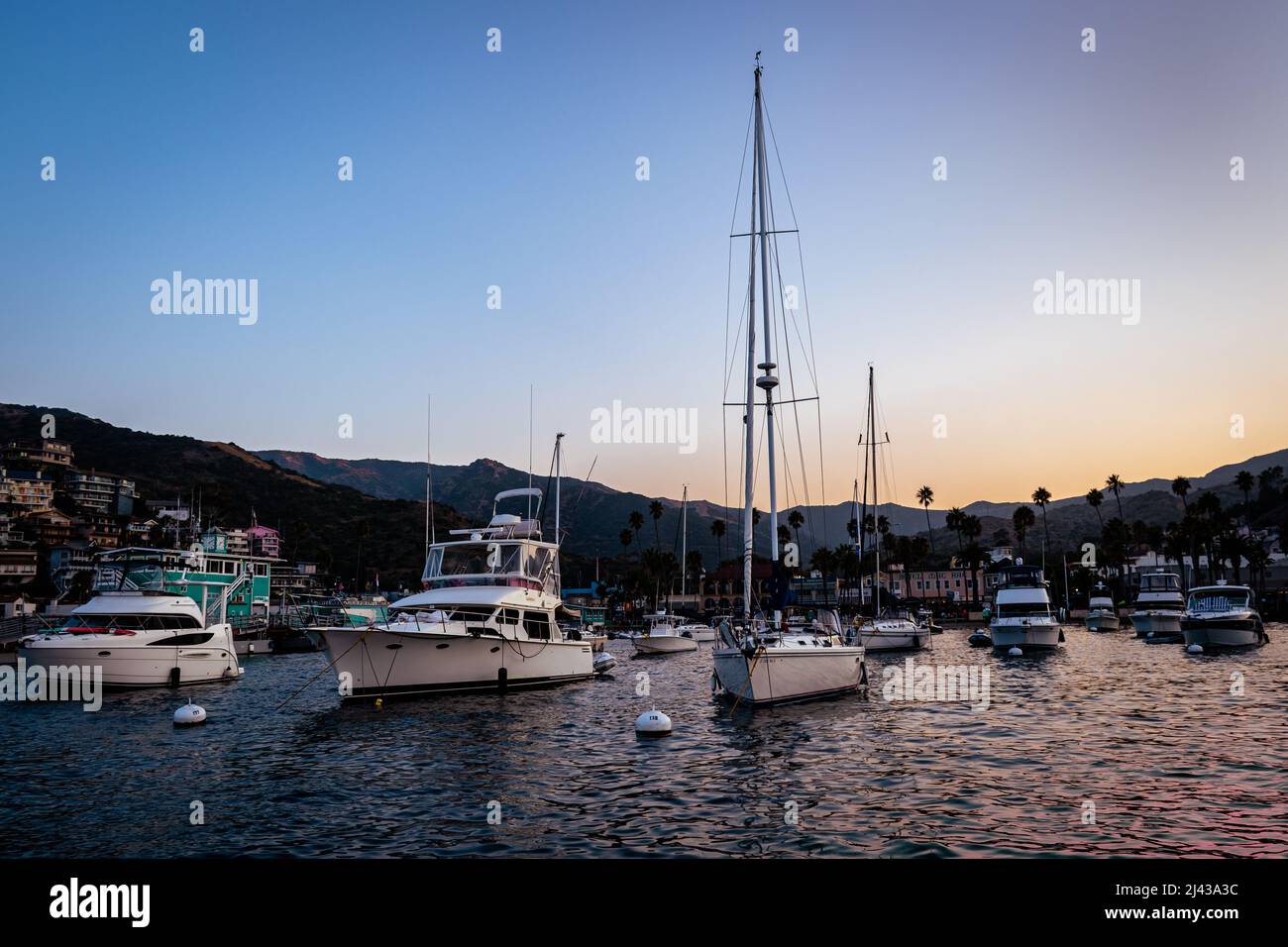 Harbor avalon catalina island hi-res stock photography and images - Alamy