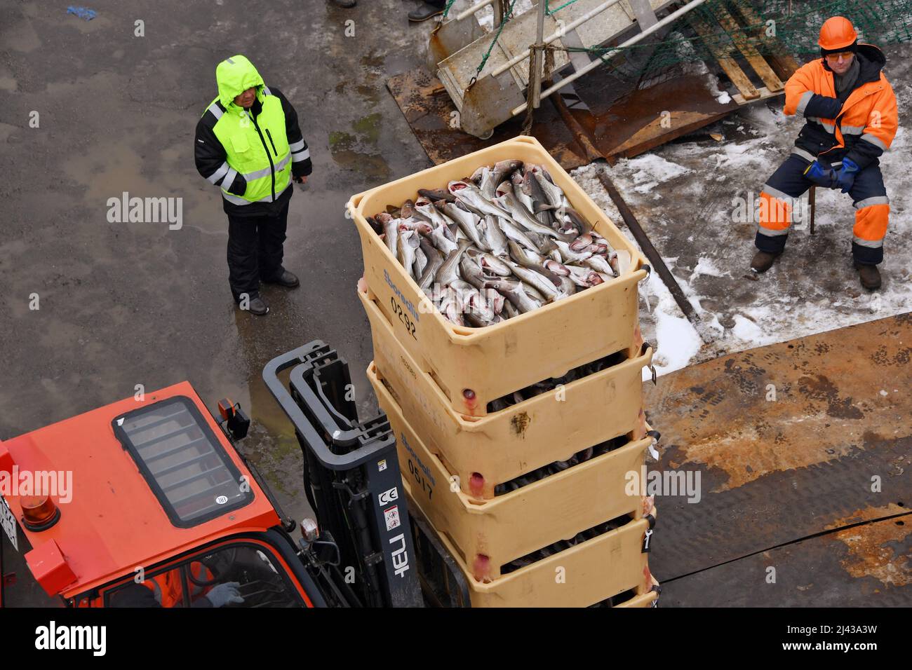 Press tour to the enterprises of the fishing holding "Norebo". Fish in ...