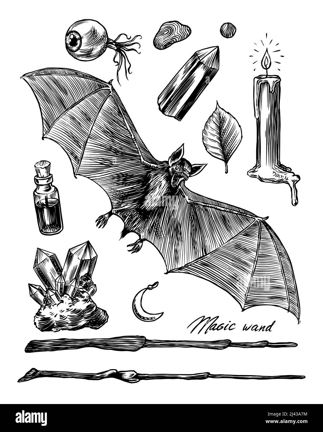 Bat wings eye hi-res stock photography and images - Alamy