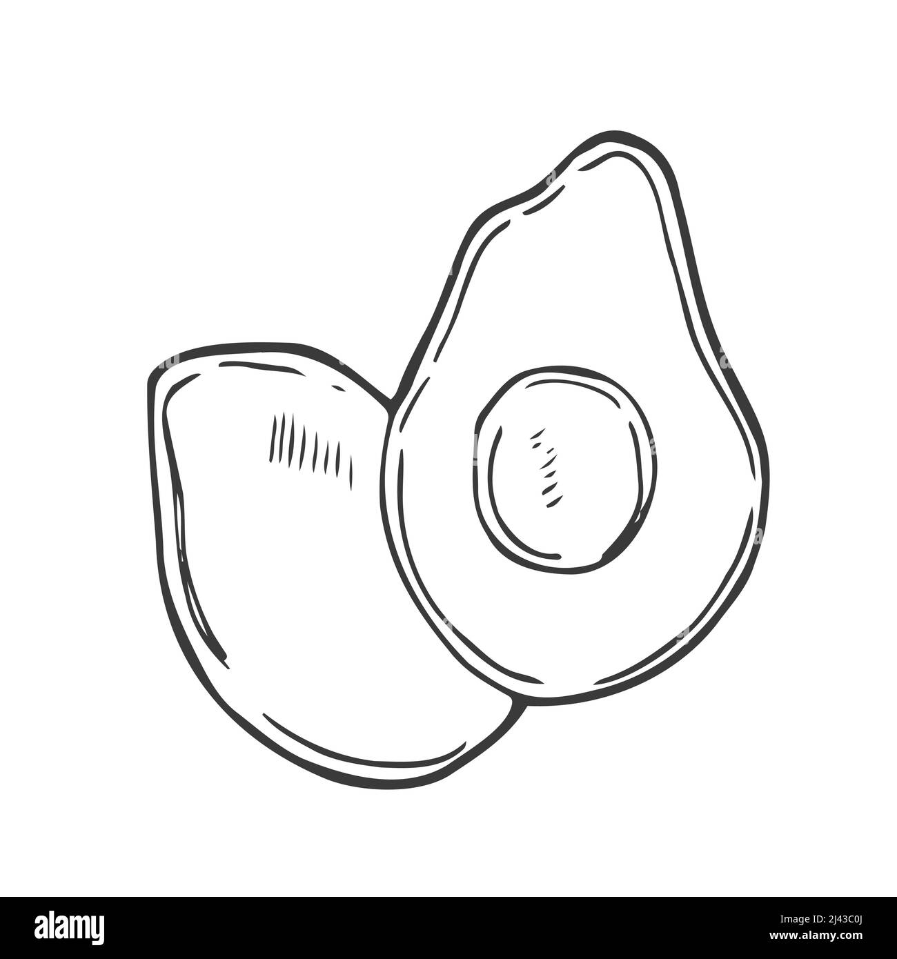 Avocado vector illustration with black hand drawn style isolated Stock ...