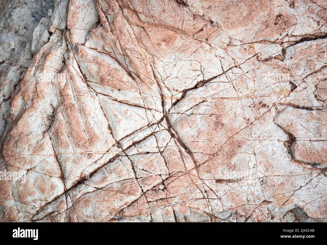 nature background or texture detail of pink limestone with grooves ...