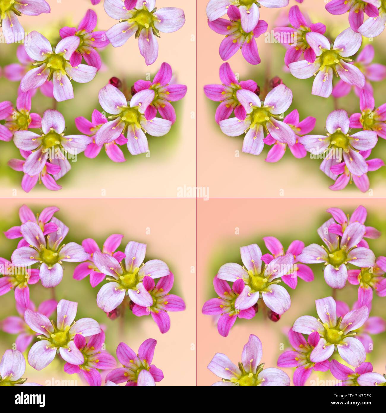 Kitchen seamless pattern hi-res stock photography and images - Alamy