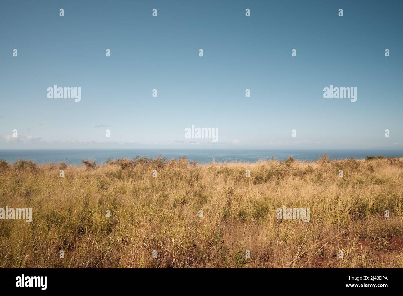 Grass graphic hi-res stock photography and images - Alamy
