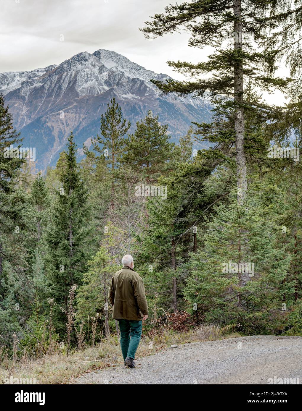 In the Tyrolean Alps a lonely mountain hiker returns late in the ...