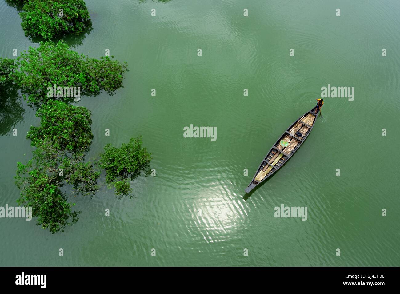 Ratargul swamp forest hi-res stock photography and images - Alamy