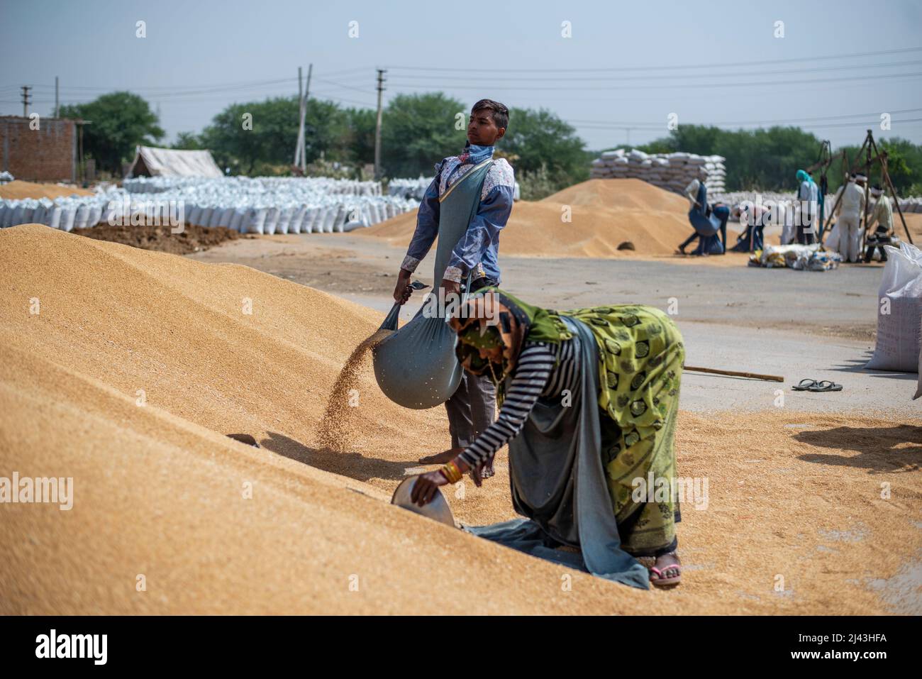 Daily wage labor hi-res stock photography and images - Alamy