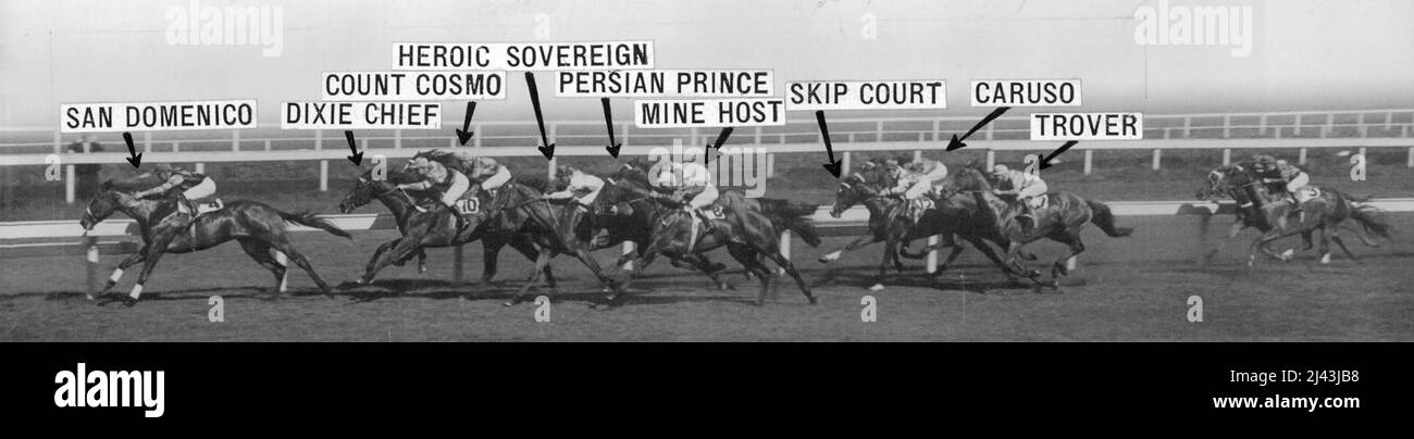 San Domenico, Dixie Chief, Count Cosmo, Heroic Sovereign, Persian ...