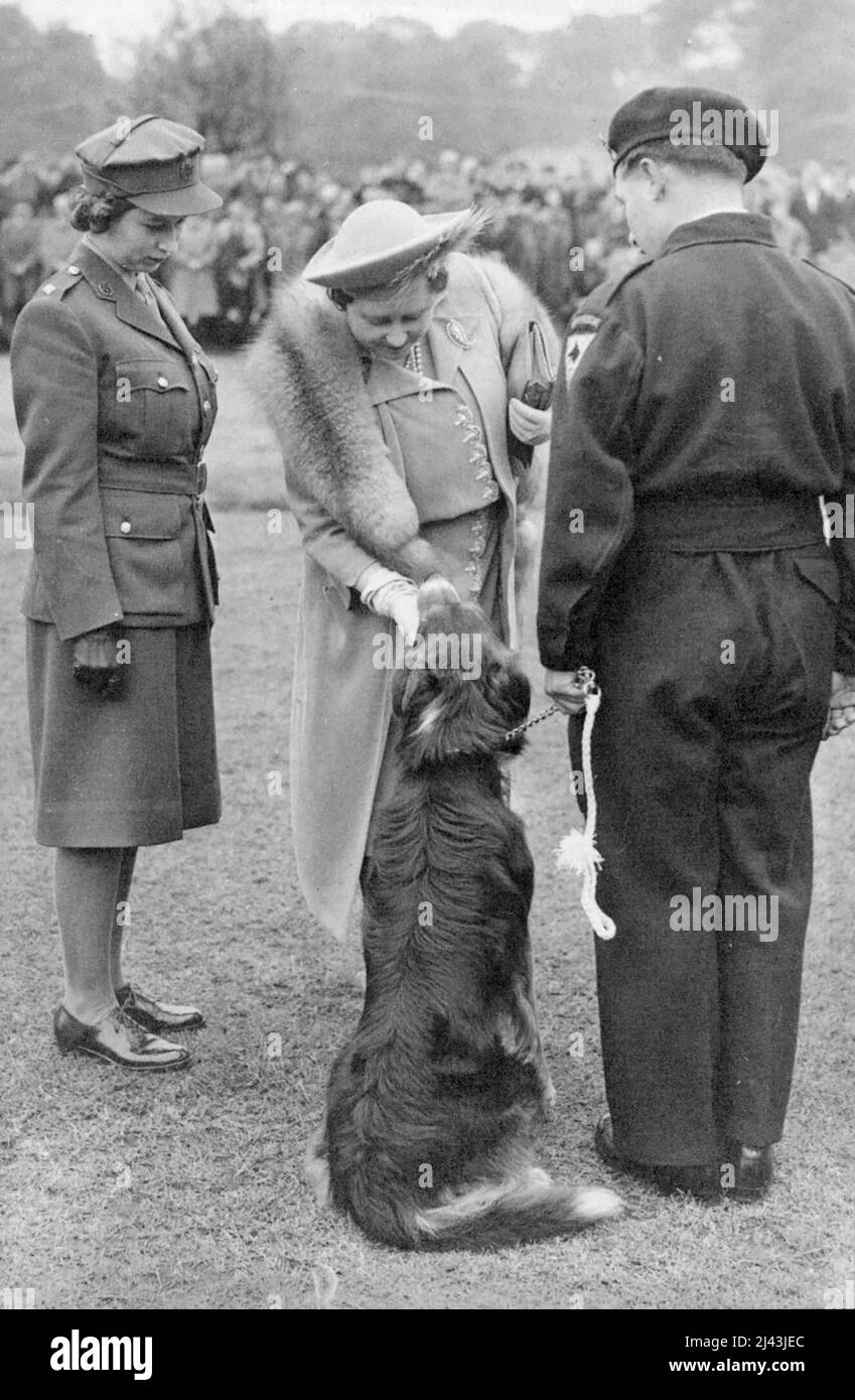 King Thanks Civil Defense Forces -- Her Majesty petting "Peter", a ...