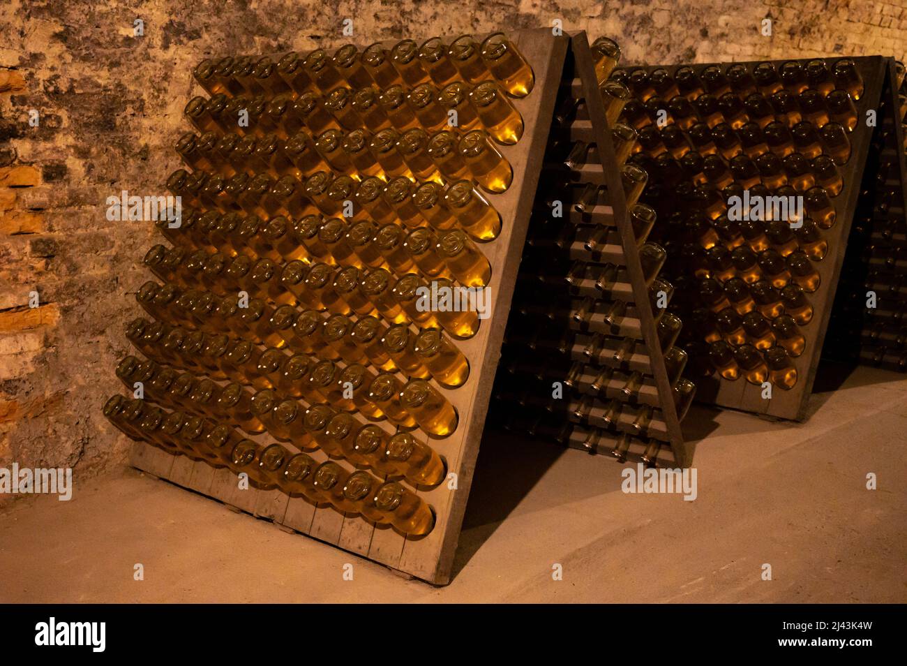 Sparkling dry white and rose wine production by traditional method in ...