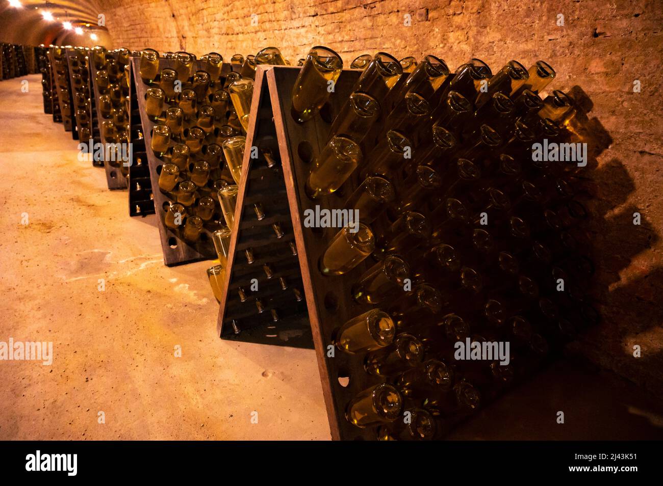 Sparkling white and rose wine production by traditional method in ...