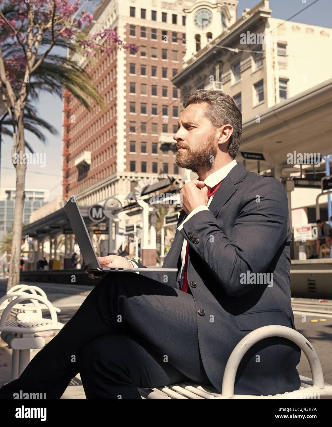 mature businessman working online. business success. programmer man use ...