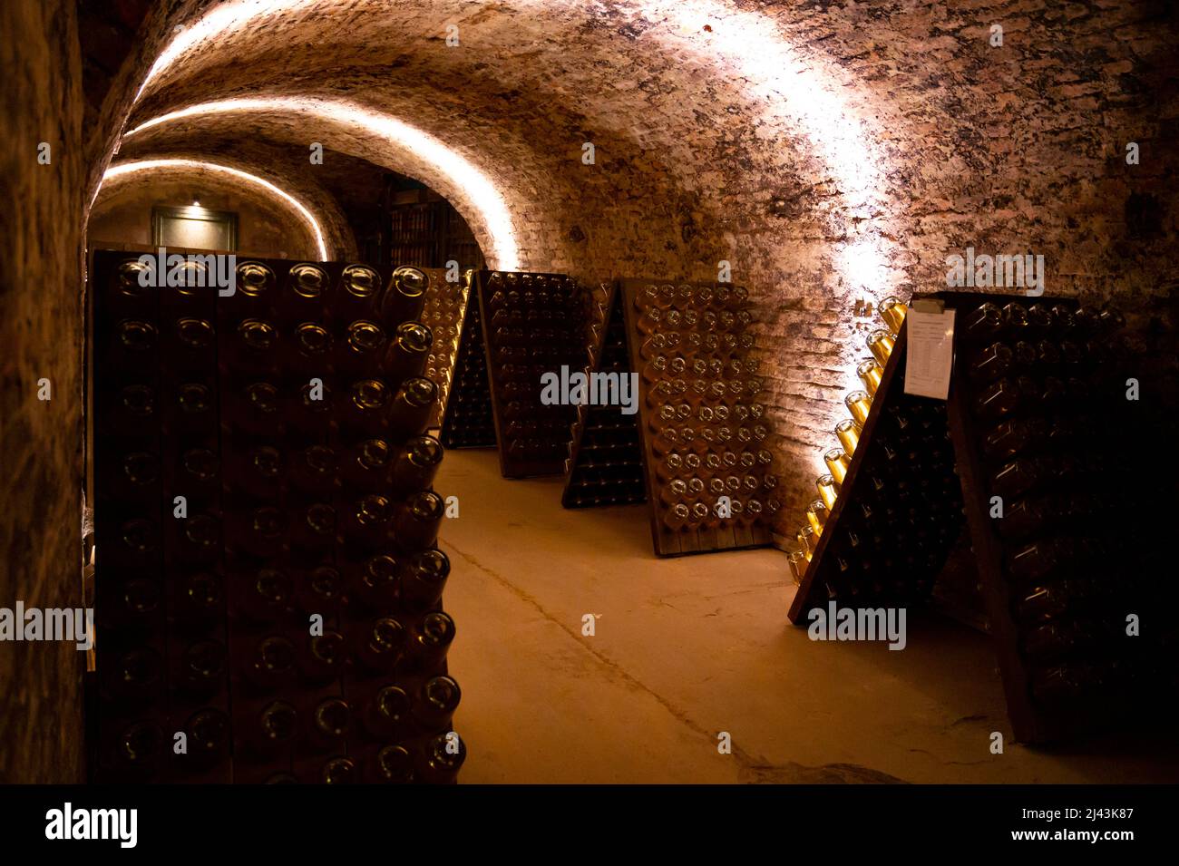 Sparkling dry white wine production by traditional method in ...