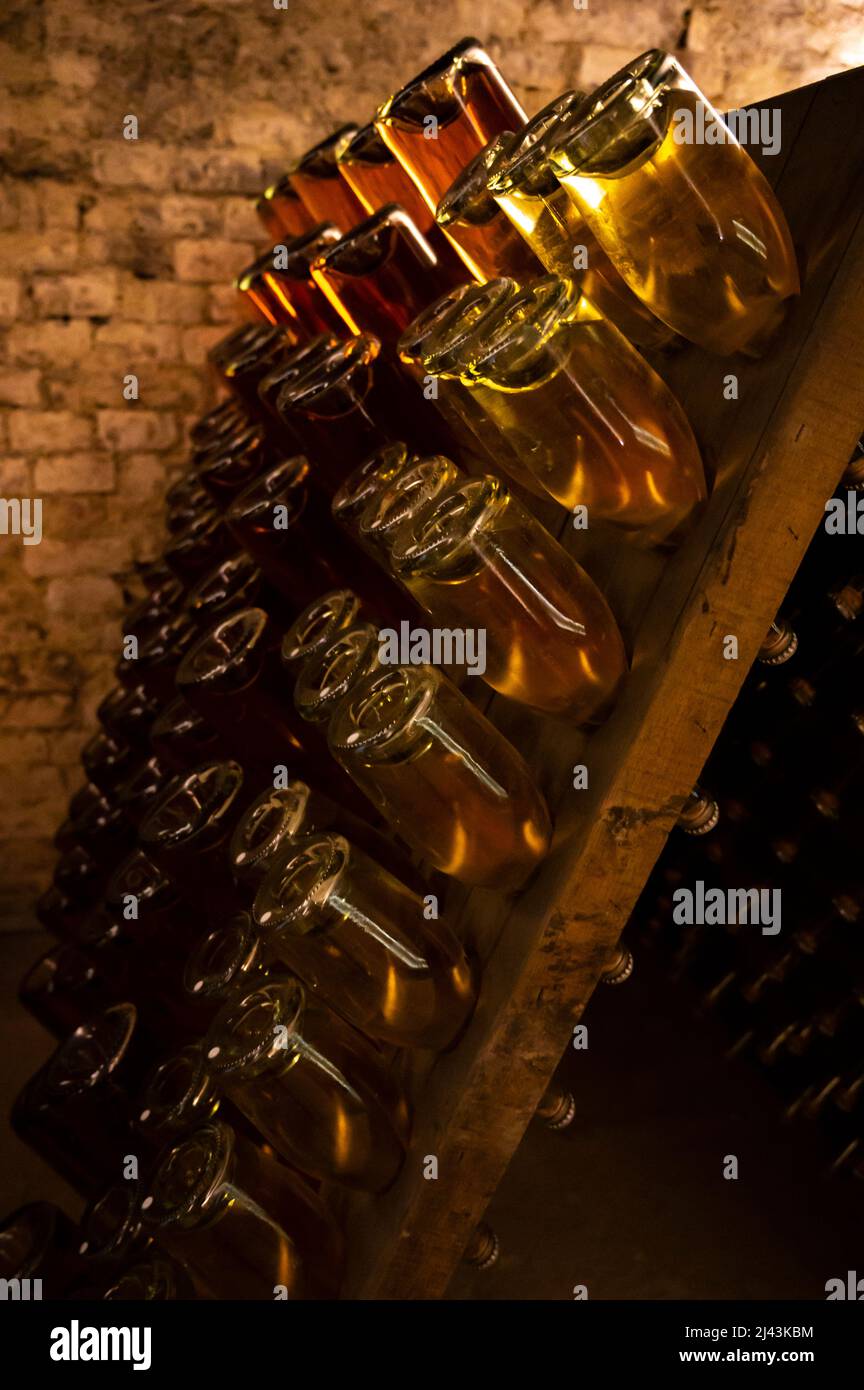 Sparkling dry rose wine production by traditional method in underground ...