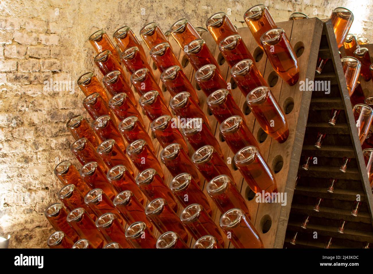 Sparkling dry rose wine production by traditional method in underground ...