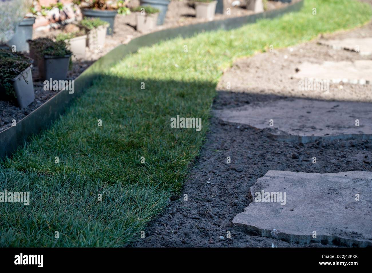 Making of natural green lawn in garden with rolls of green grass ...
