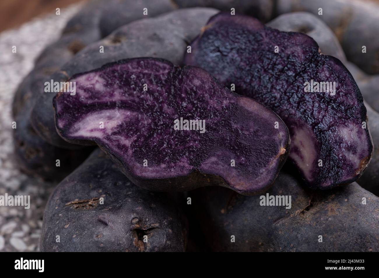 Colorful belgian purple or black truffle potato root vegetable ready to ...