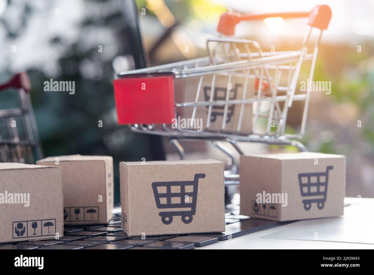 Shopping online - Parcel or Paper cartons with a shopping cart logo in ...