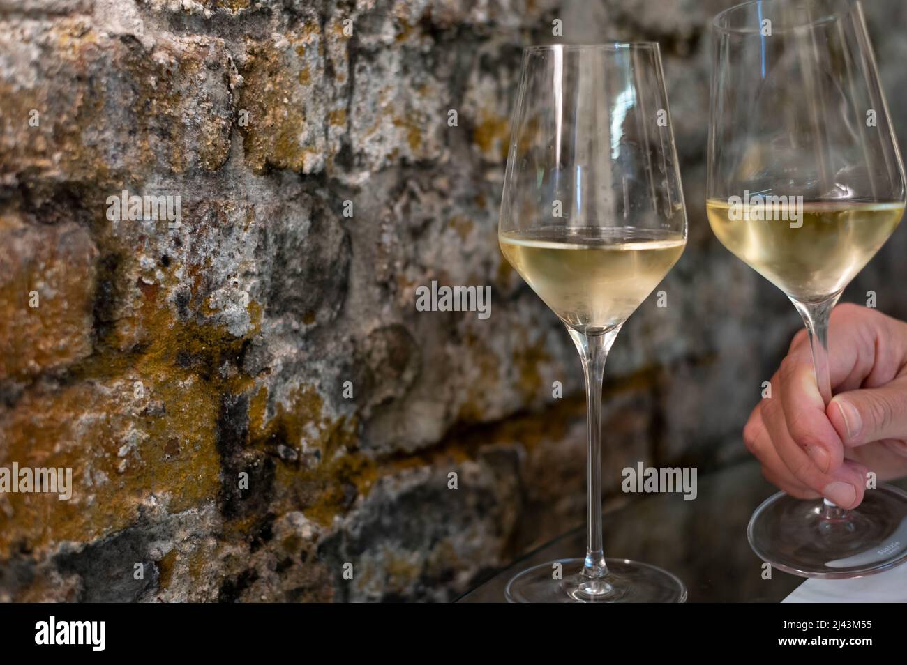 Tasting of brut champagne sparkling wine produced by traditional method in underground caves ...