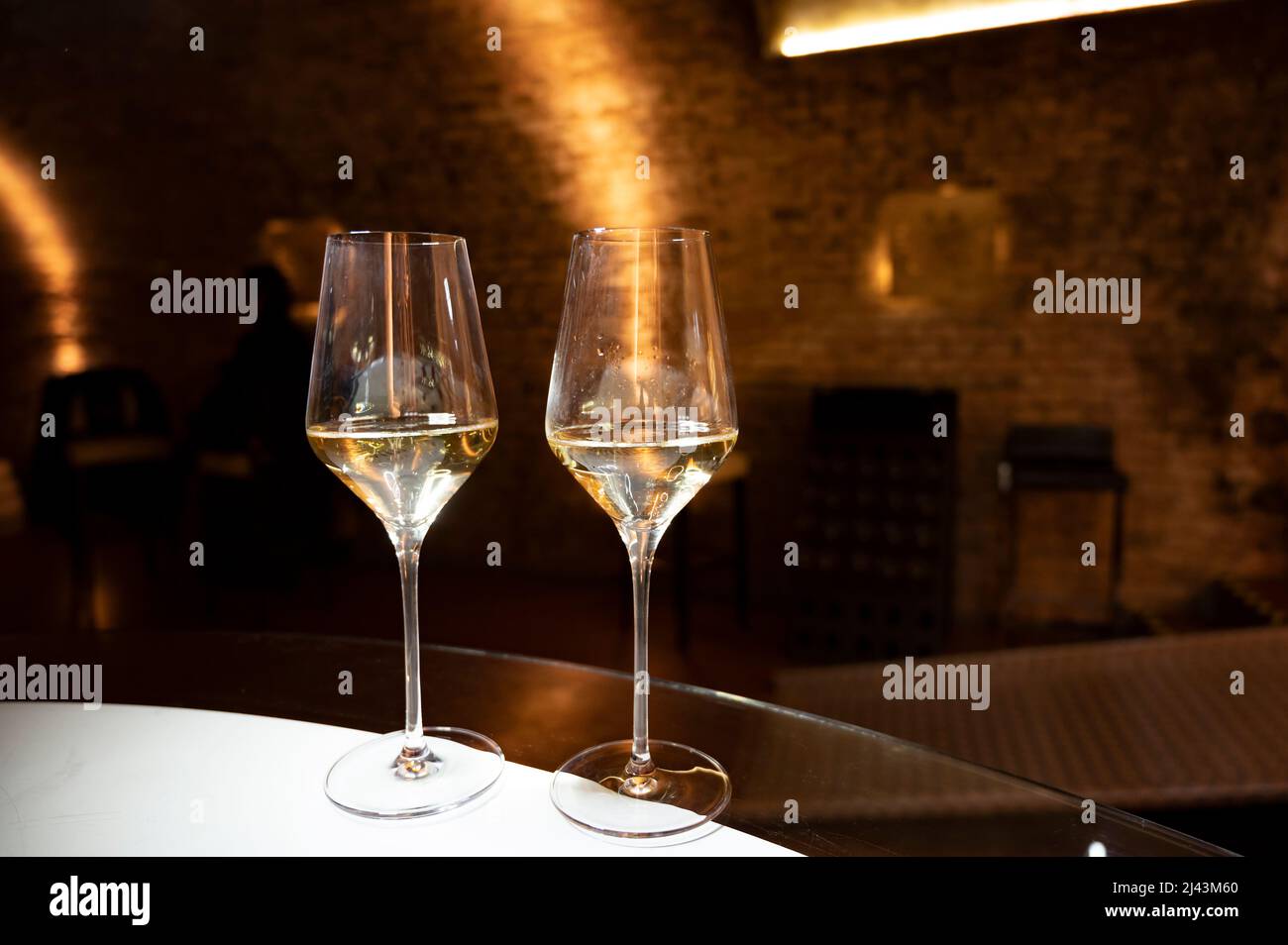 Tasting of brut champagne sparkling wine produced by traditional method ...