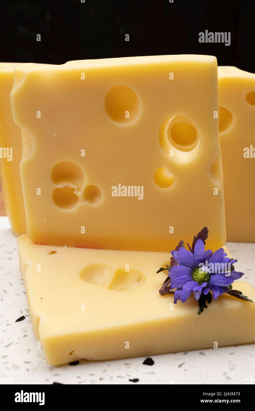 Swiss cheese collection, yellow emmentaler or emmental cheese with ...
