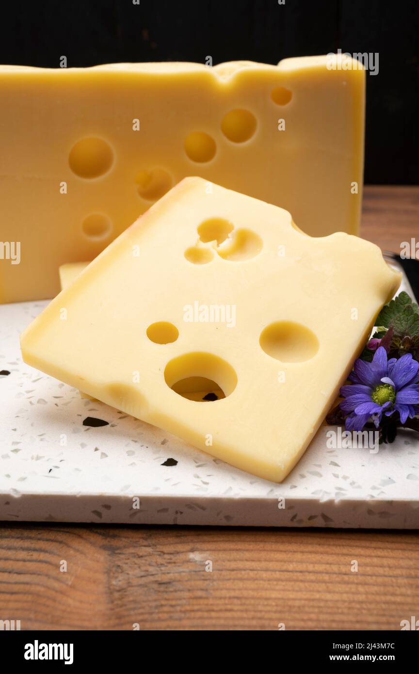Swiss cheese collection, yellow emmentaler or emmental cheese with ...