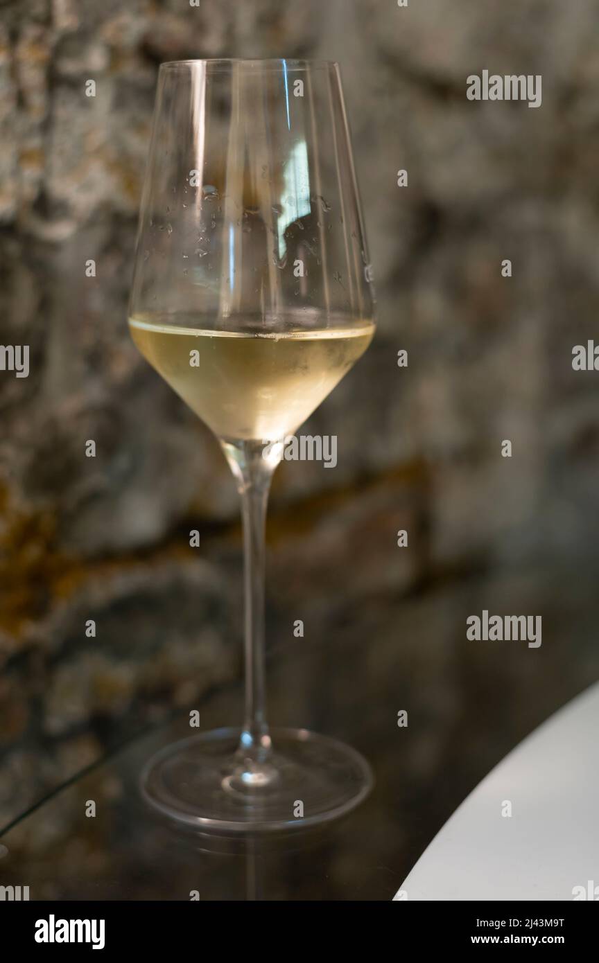 Tasting of brut champagne sparkling wine produced by traditional method in underground caves ...