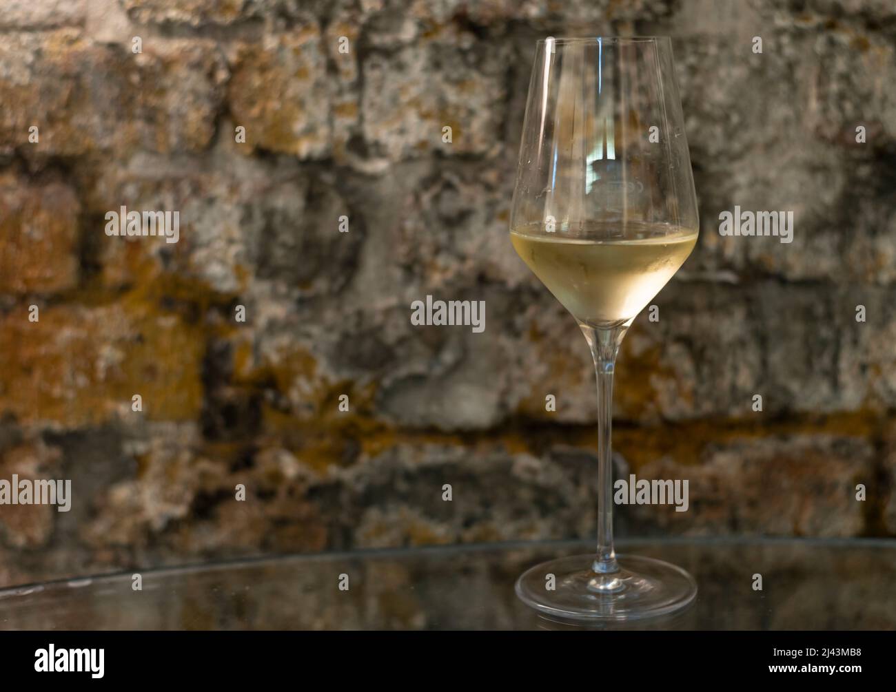 Tasting of brut champagne sparkling wine produced by traditional method in underground caves ...