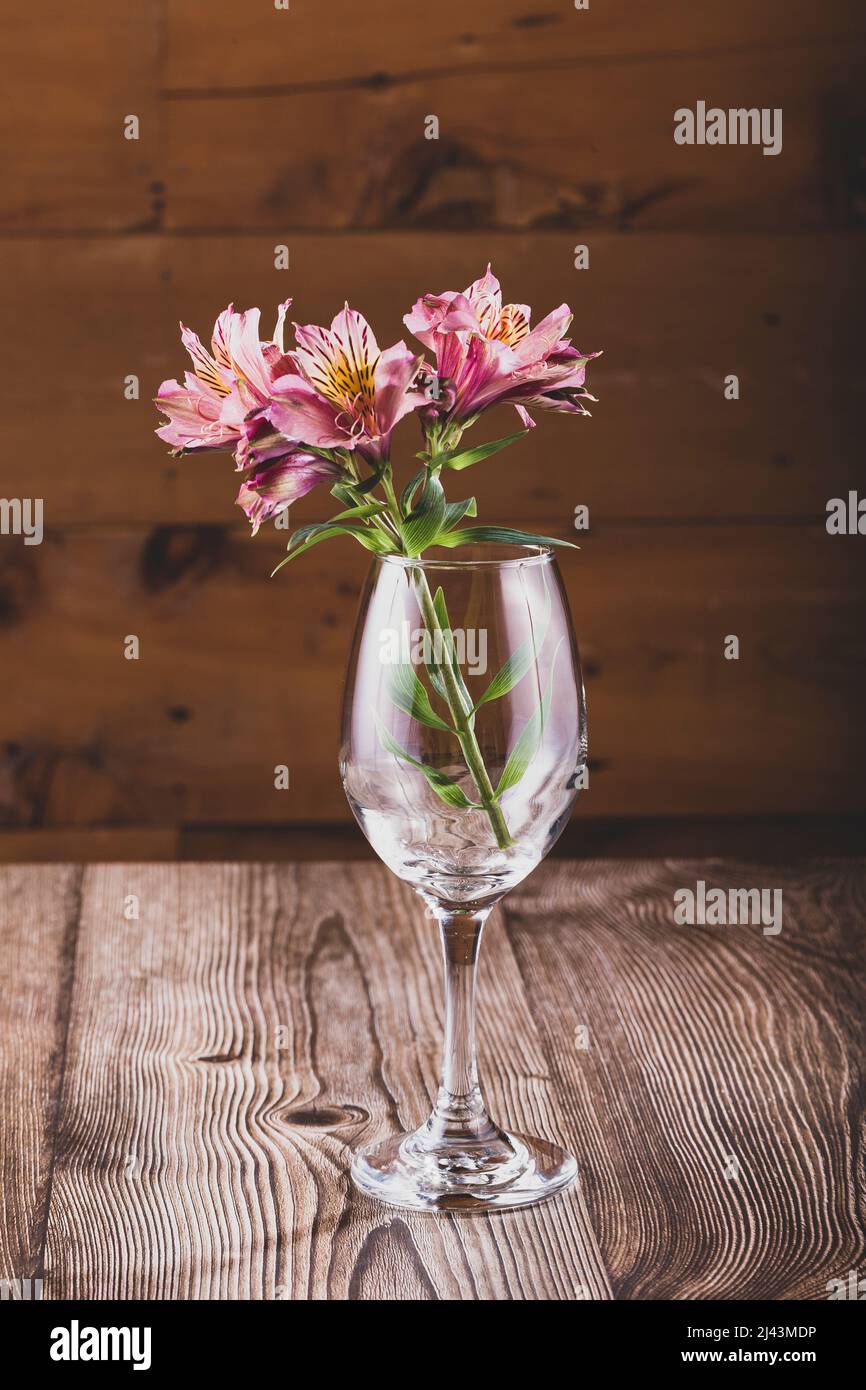 Beautiful composition flowers cup hi-res stock photography and images ...