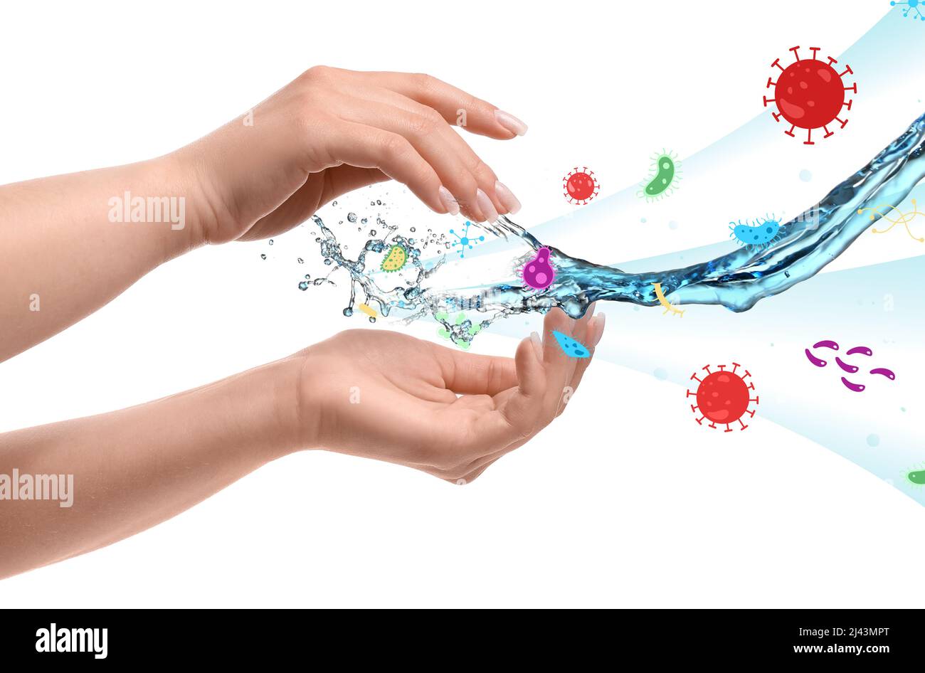 Female hands, splash of water and germs on white background. Concept of ...