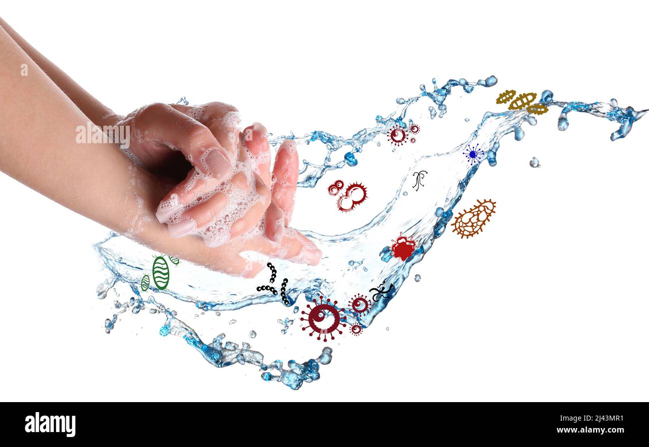 Female hands, splash of water and germs on white background. Concept of ...