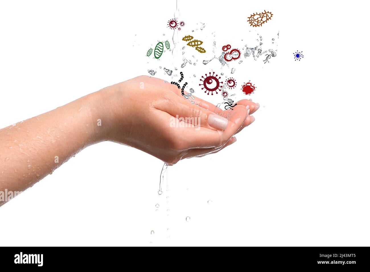 Female hands, splash of water and germs on white background. Concept of ...