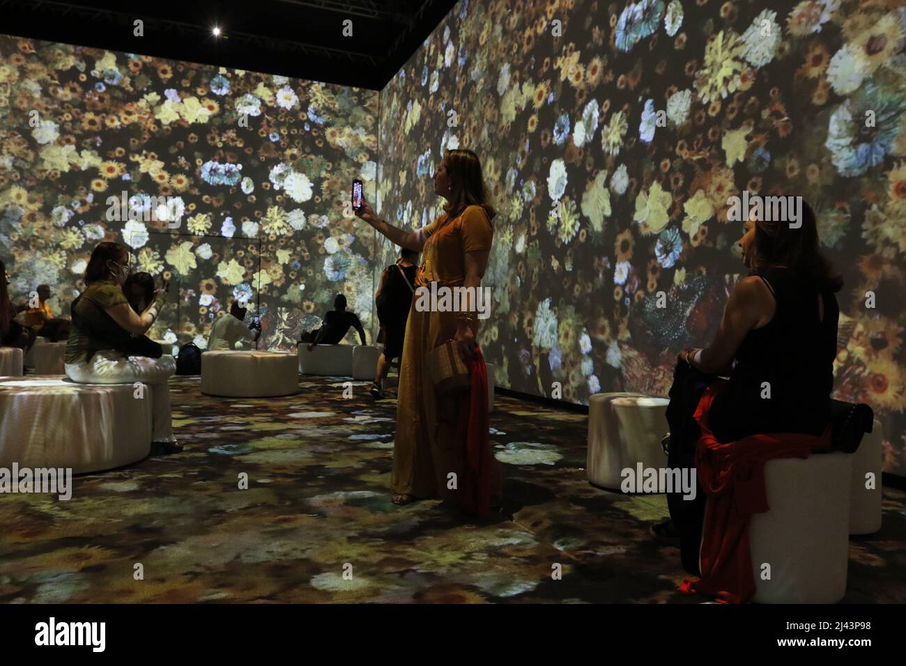 Vincent van gogh digital paintings hi-res stock photography and images ...
