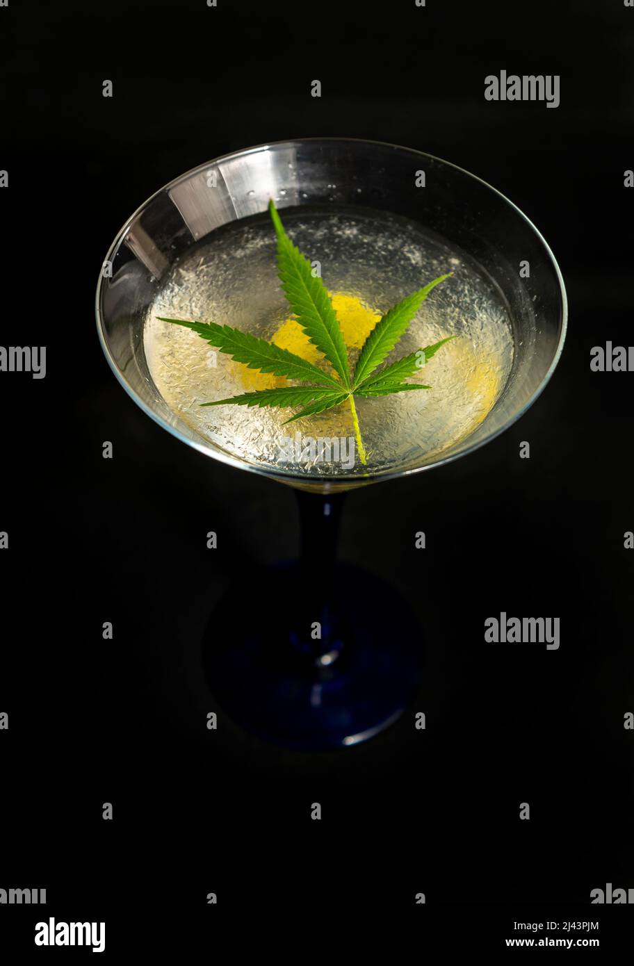 Cannabis infused martini cocktail with leaf and lemon rind isolated ...