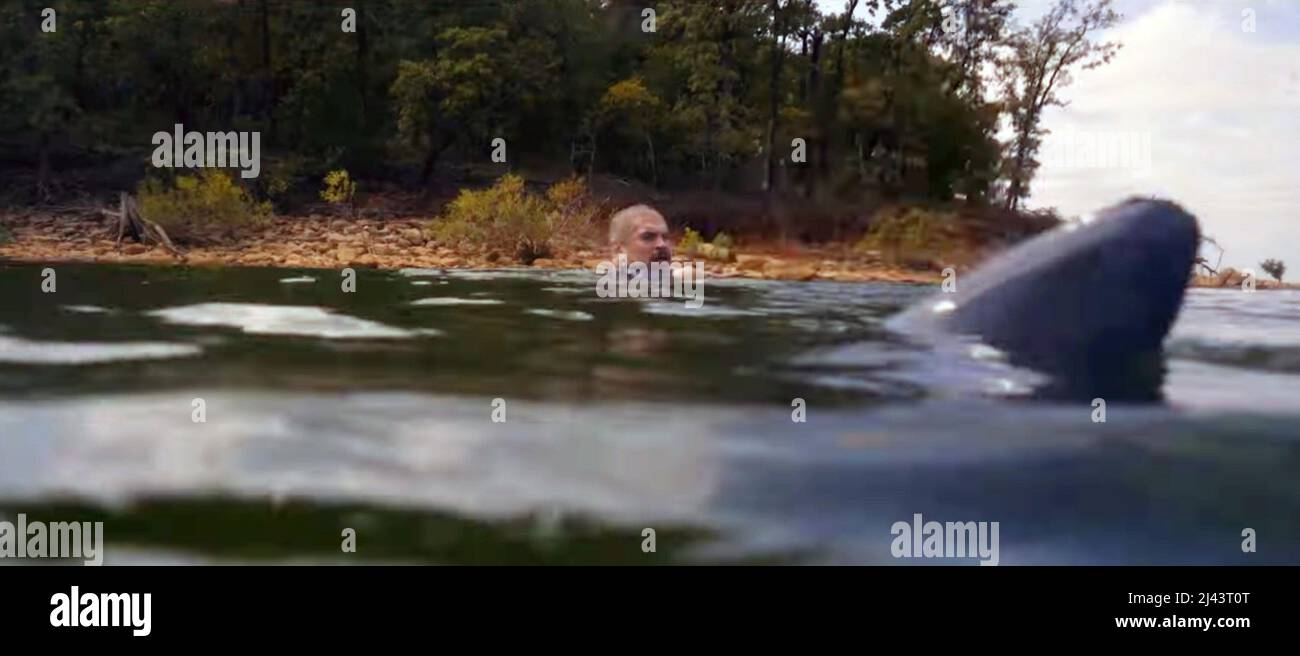 BULL SHARK, Thom Hallum, 2022. © ITN Distribution / Courtesy Everett ...