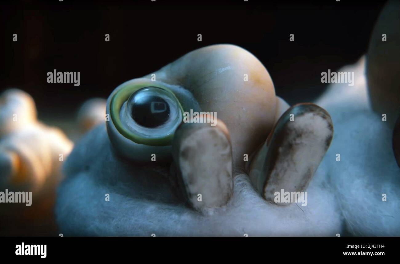 MARCEL THE SHELL WITH SHOES ON, Marcel (voice: Jenny Slate), 2021 ...
