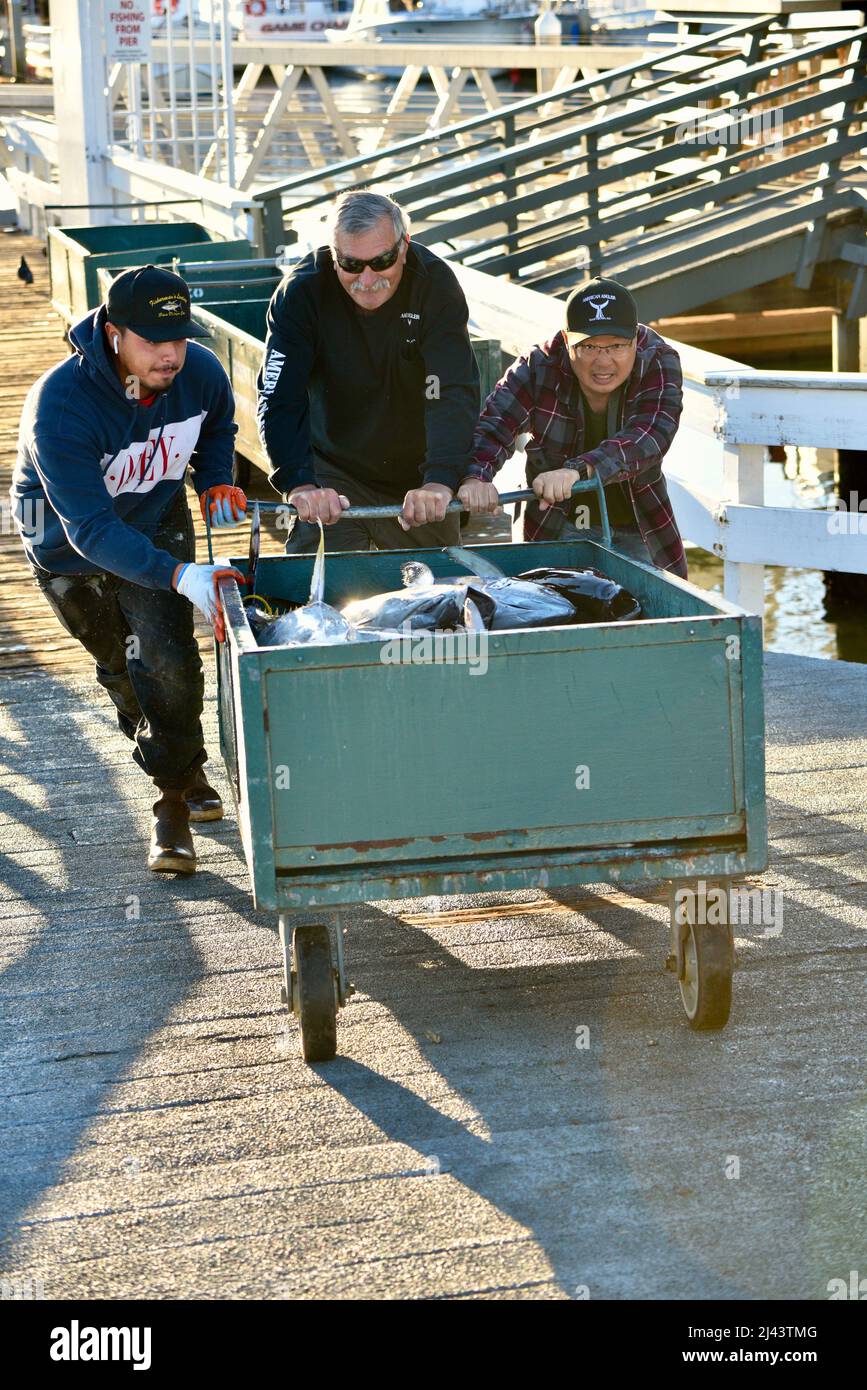 Crew dragging a boat hi-res stock photography and images - Alamy