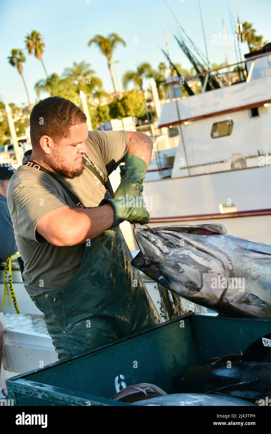Crew dragging a boat hi-res stock photography and images - Alamy