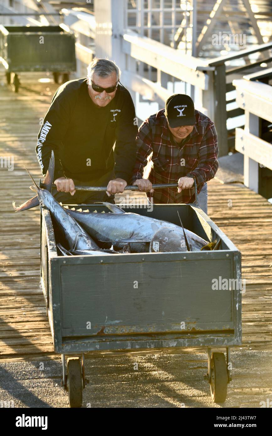 Hard cart hi-res stock photography and images - Alamy
