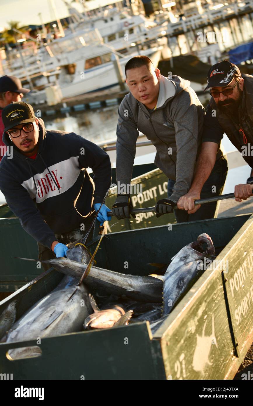 Crew dragging a boat hi-res stock photography and images - Alamy
