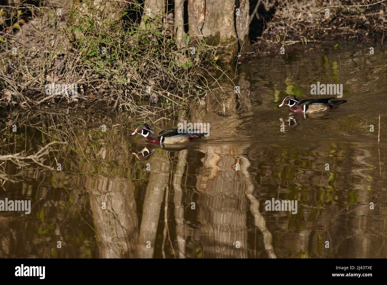 Stretch of water hi-res stock photography and images - Alamy