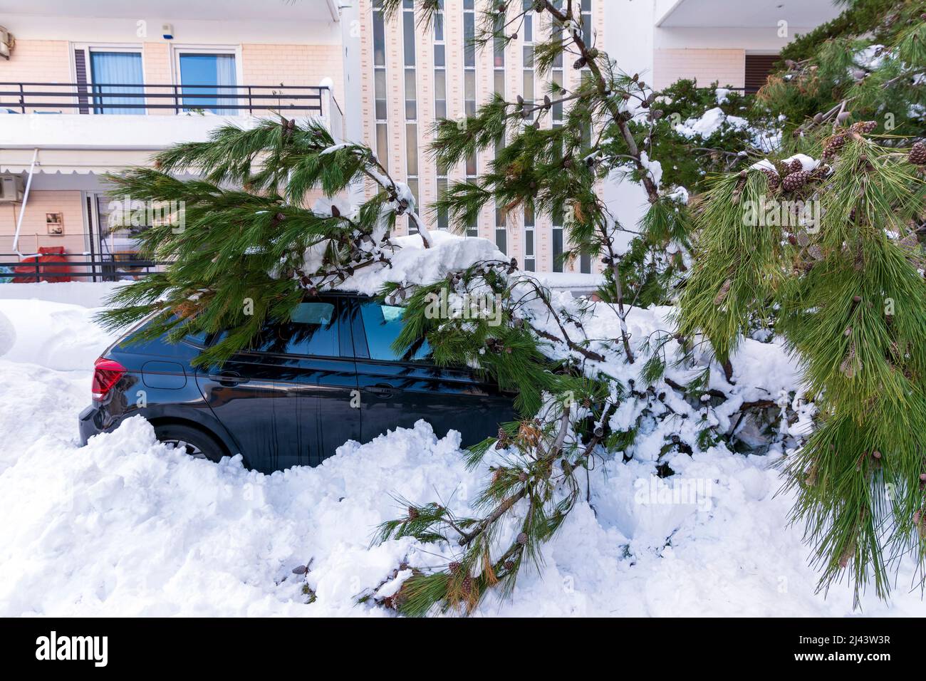 ATHENS, GREECE - January 25 2022: Cars totally covered with snow in ...