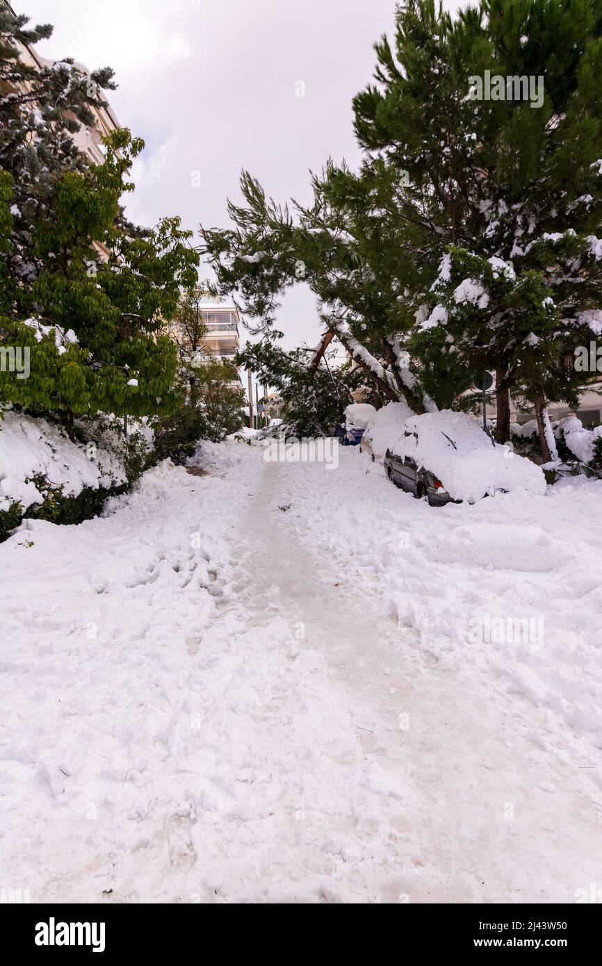 ATHENS, GREECE - January 25 2022: Cars totally covered with snow in ...
