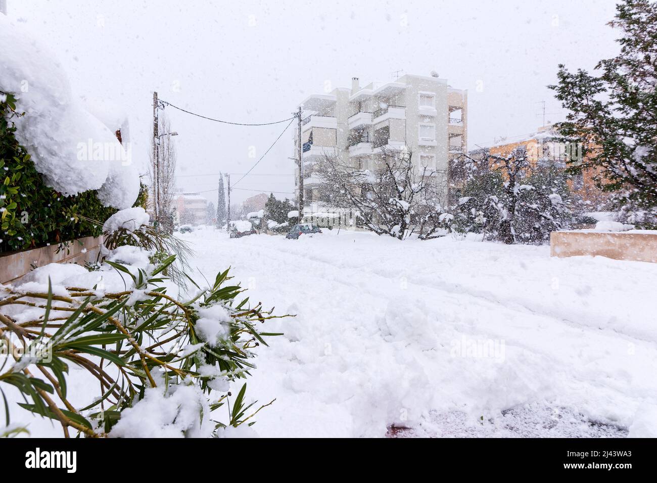 Snow in Vrilissia district, during snow storm in Athens city, capital ...