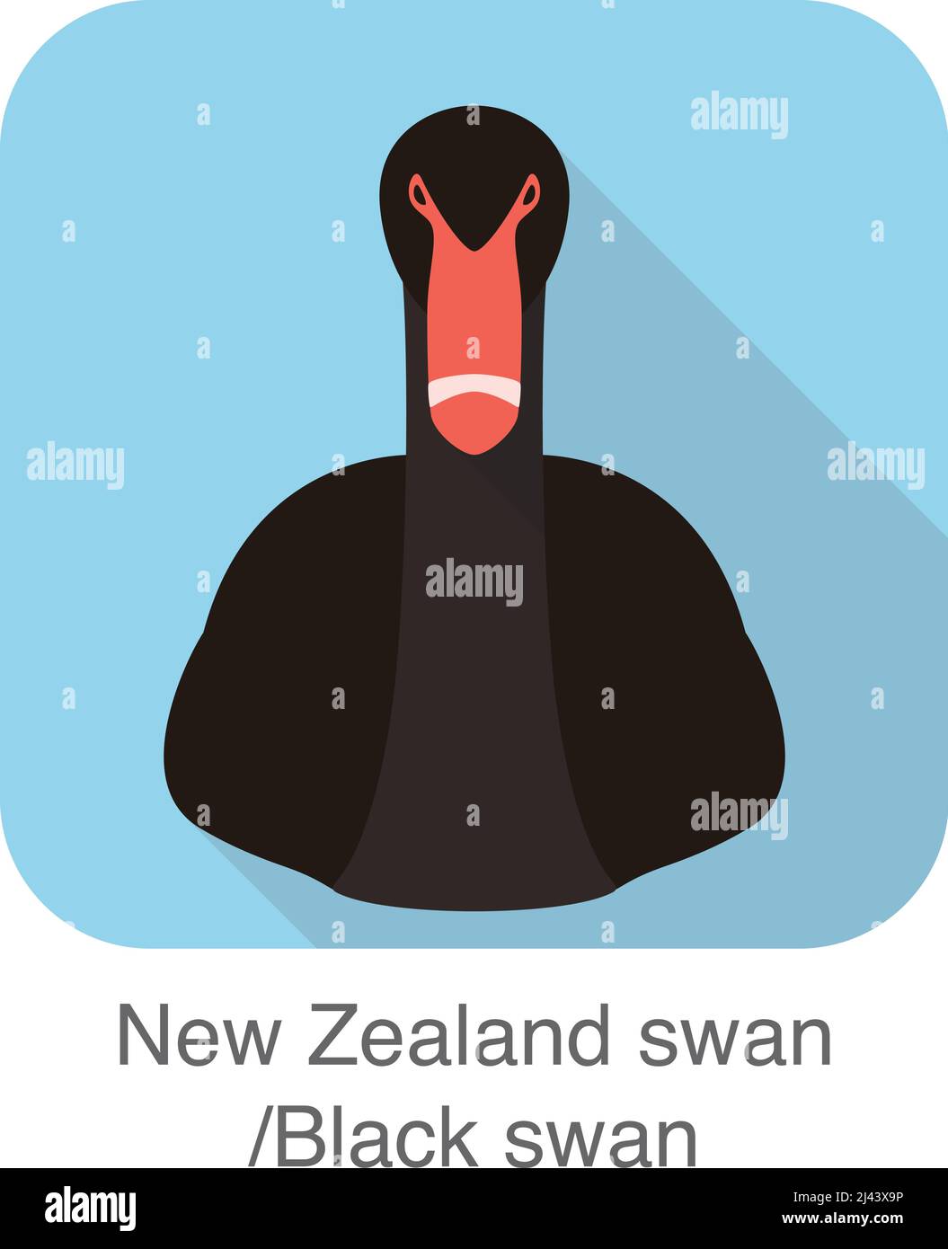 swan vector icon design, front face, vector illustration Stock Vector ...