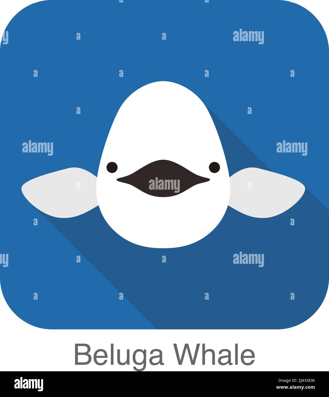 Beluga white whale sea Cut Out Stock Images & Pictures - Alamy
