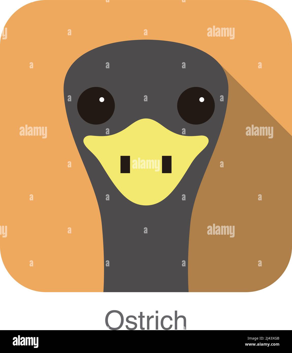 simple ostrich flat icon design vector illustration Stock Vector Image ...