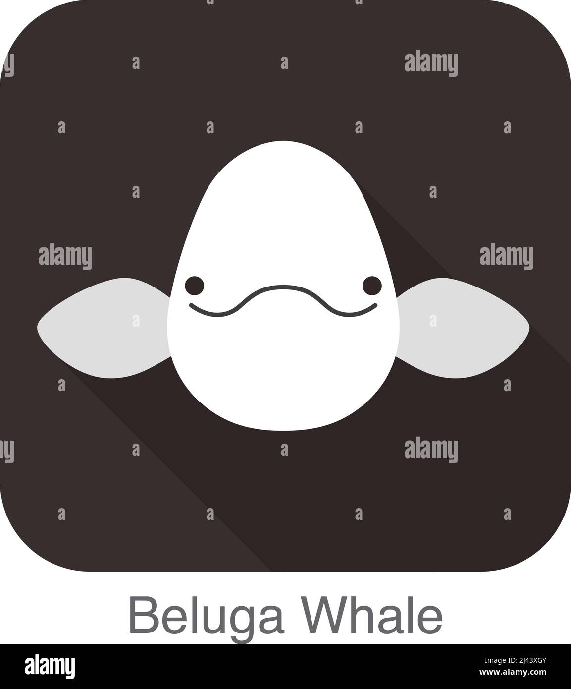 Beluga whale portrait Stock Vector Images - Alamy