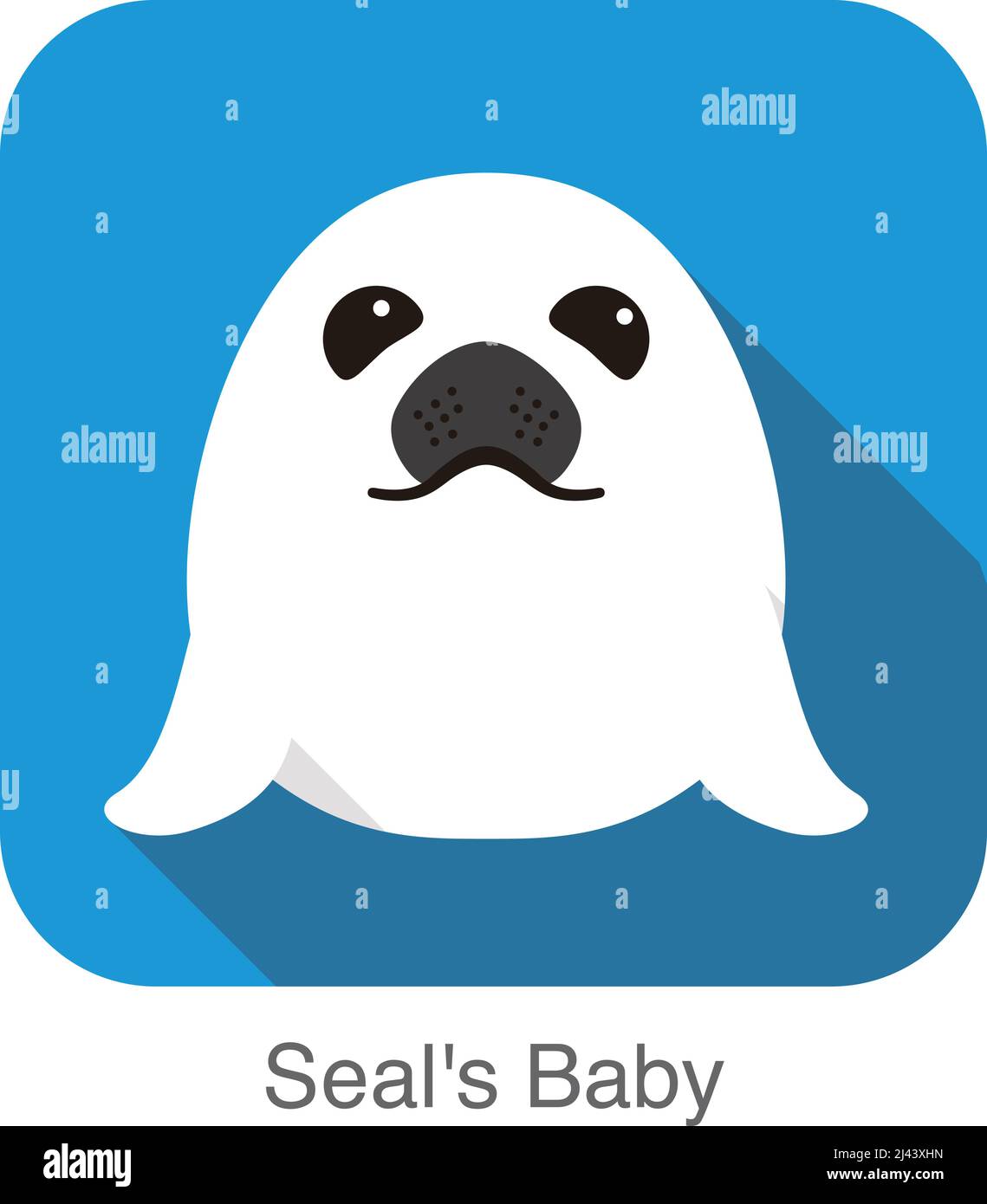 Flat square icon cute Cut Out Stock Images & Pictures - Alamy