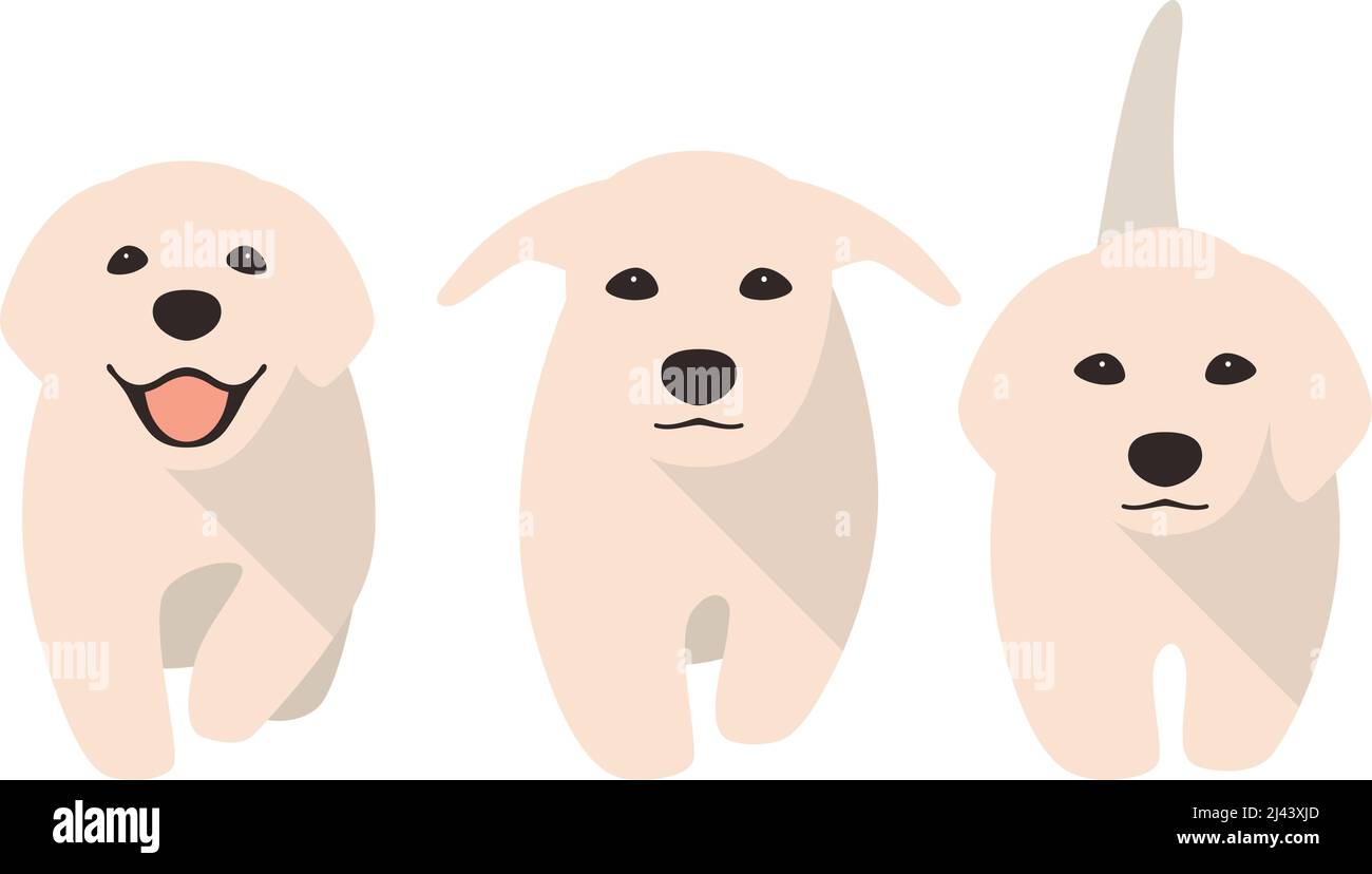 Golden Retriever sitting on the ground, front view, vector illustration ...
