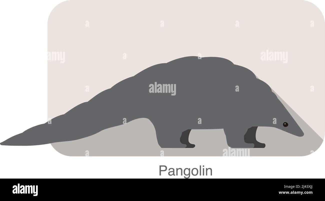pangolin walking and searching, side view, vector illustration Stock ...